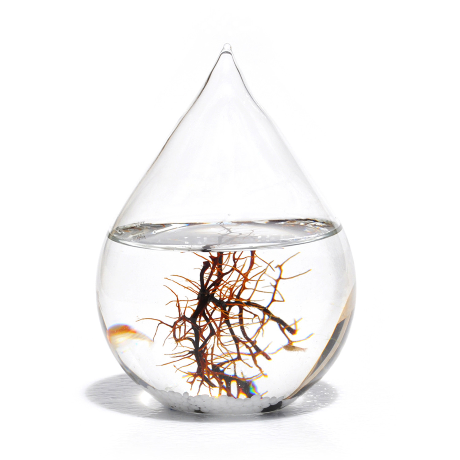 Small Waterdrop - EcoSphere - Touch of Modern