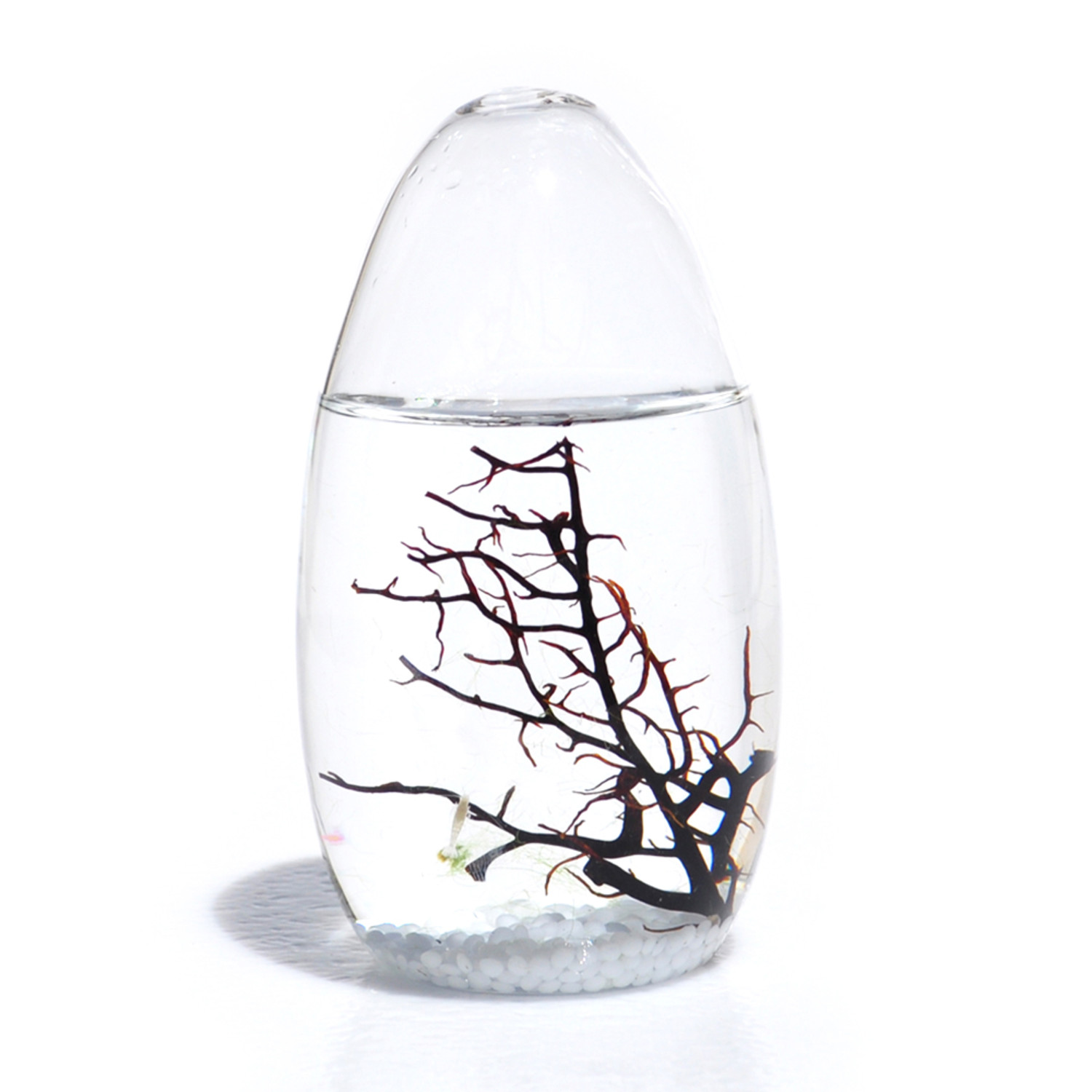 Small Pod - EcoSphere - Touch of Modern