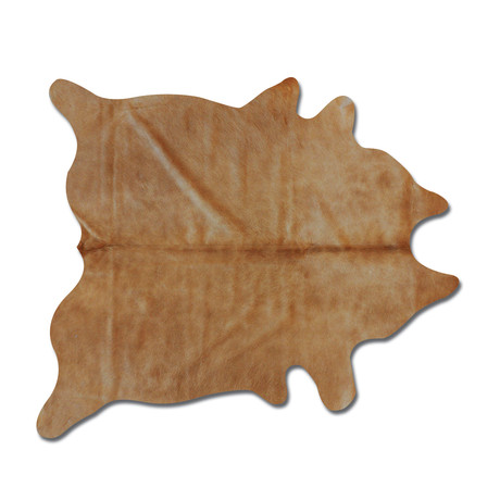 Natural Rugs - Authentic & Original Rugs - Touch of Modern