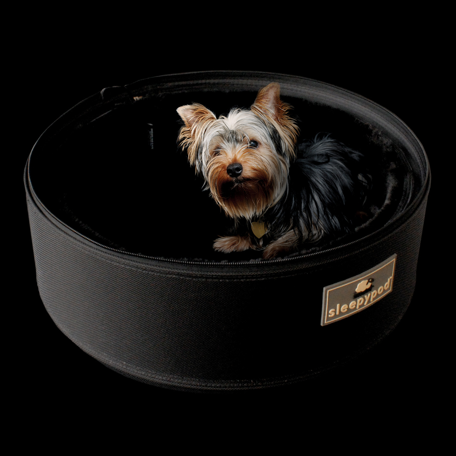 Sleepypod (Jet Black) - Sleepypod - Touch of Modern