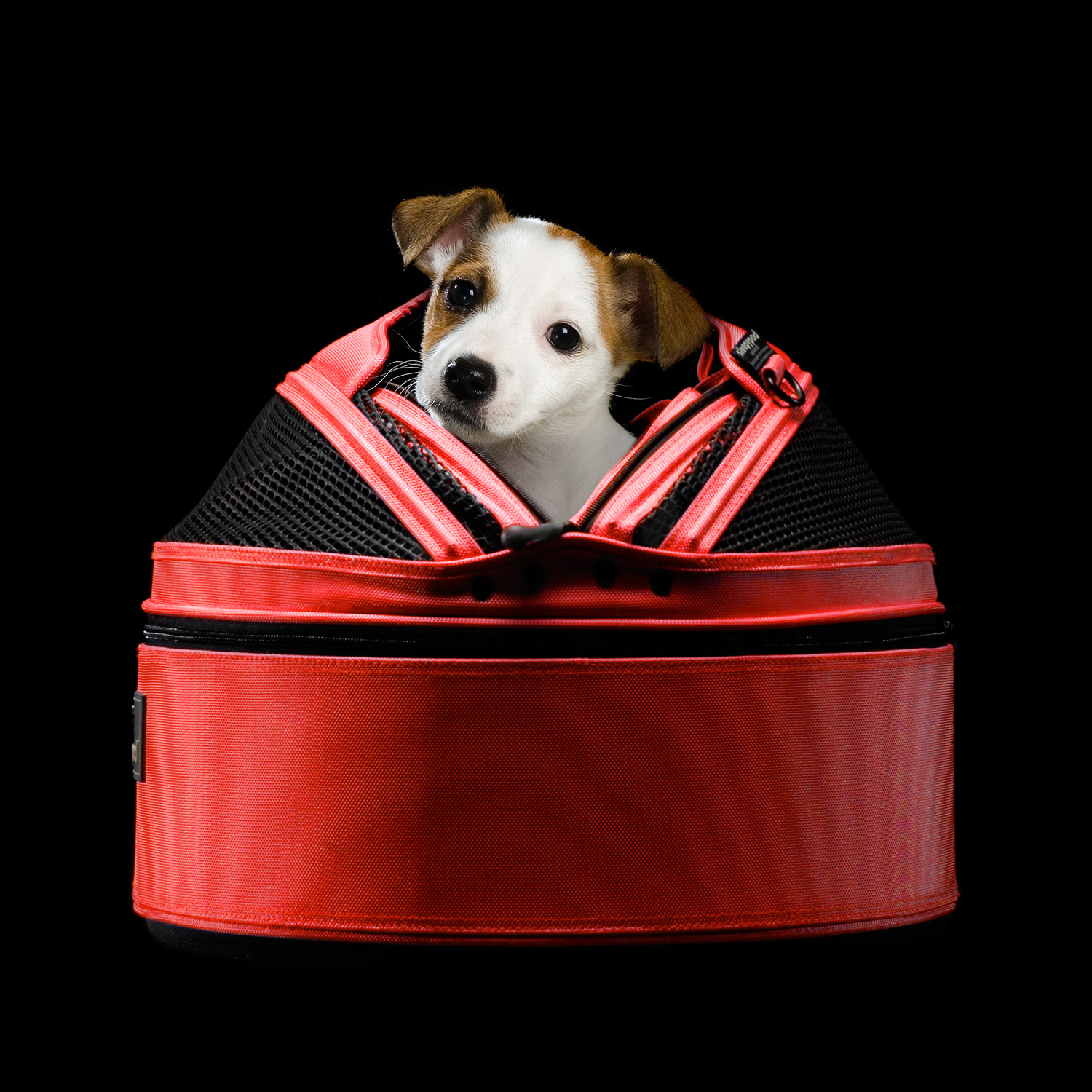 Sleepypod (Jet Black) - Sleepypod - Touch of Modern