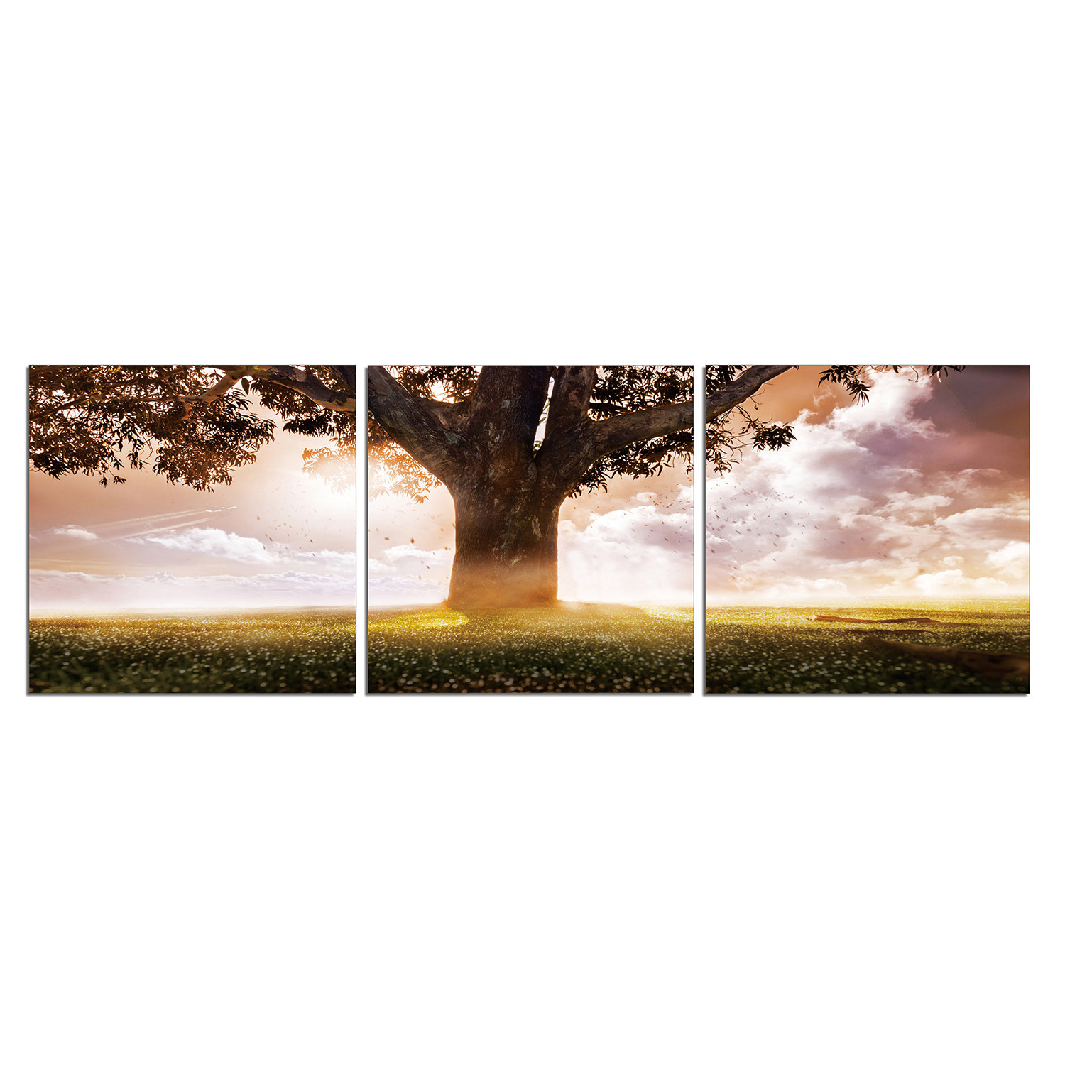 Tree Of Life (84"W x 28"H) - Elementem Photography - Touch of Modern