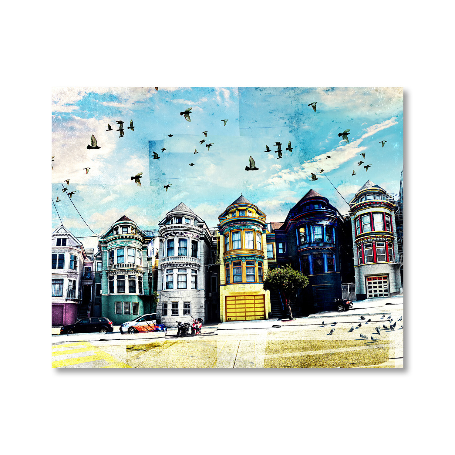 Painted Ladies // Aluminum Print (20"L x 16"H) - Tim Jarosz - Touch of ...