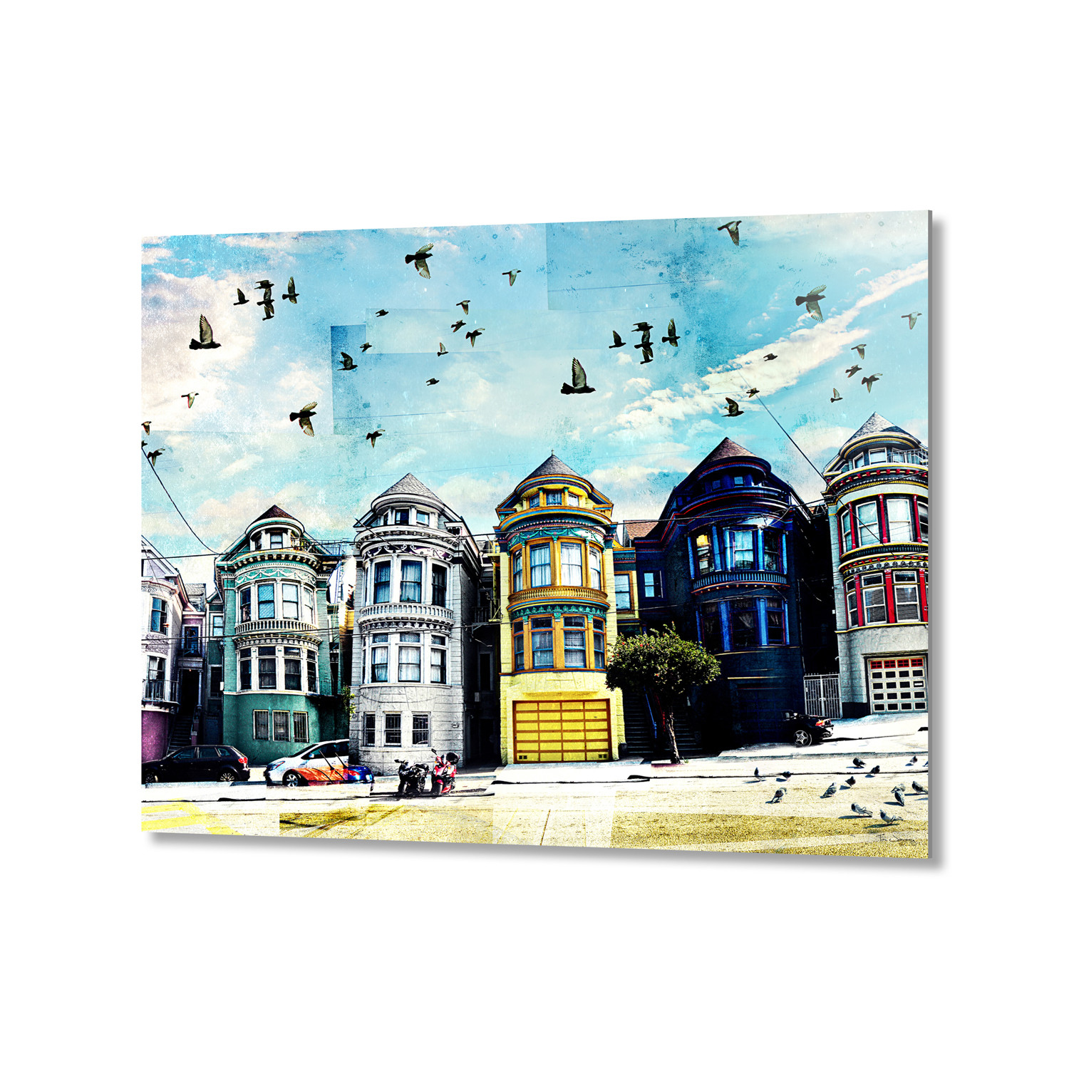 Painted Ladies // Aluminum Print (20"L x 16"H) - Tim Jarosz - Touch of ...