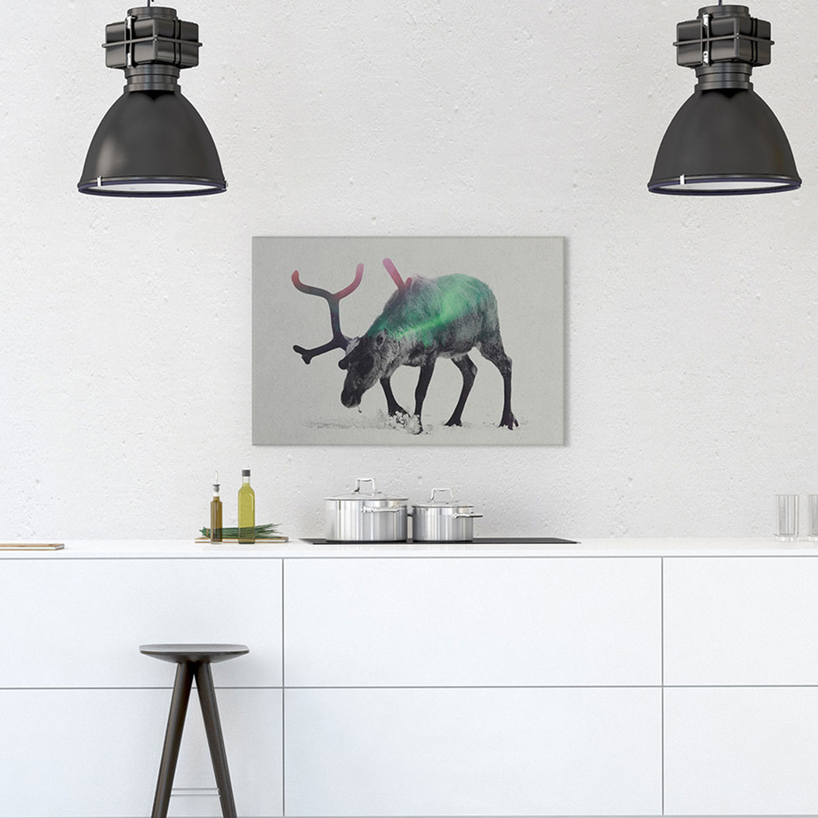 Andreas Lie - Wild Art on Canvas - Touch of Modern