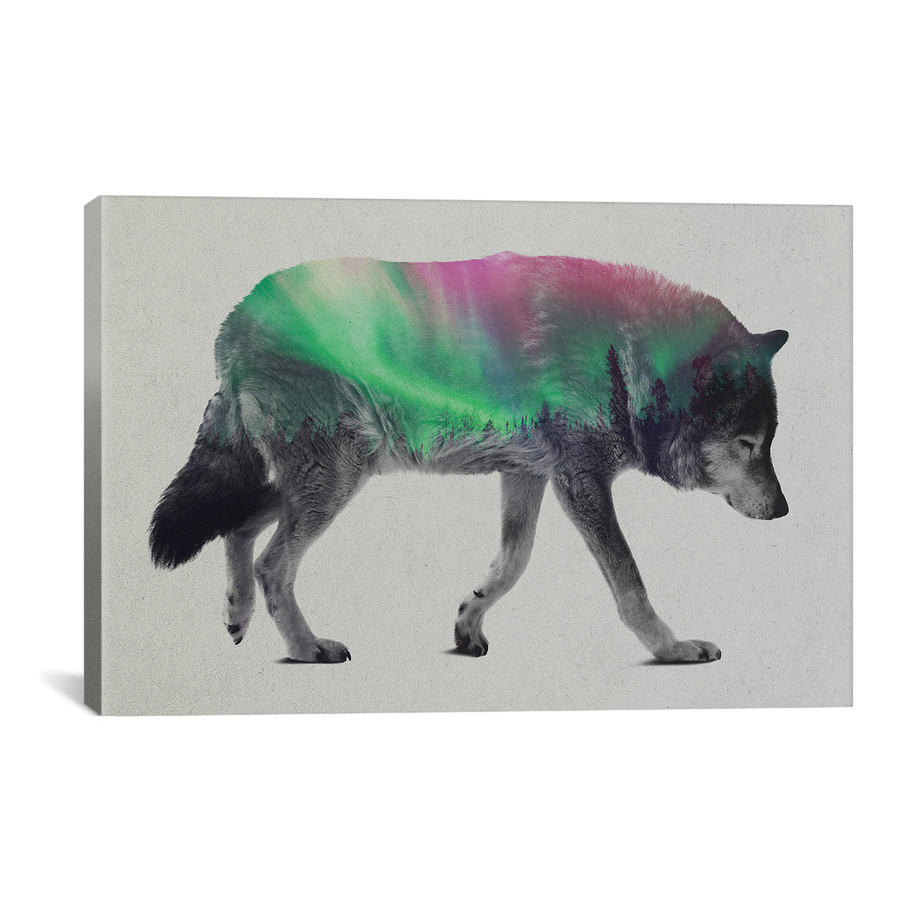 Andreas Lie - Wild Art on Canvas - Touch of Modern