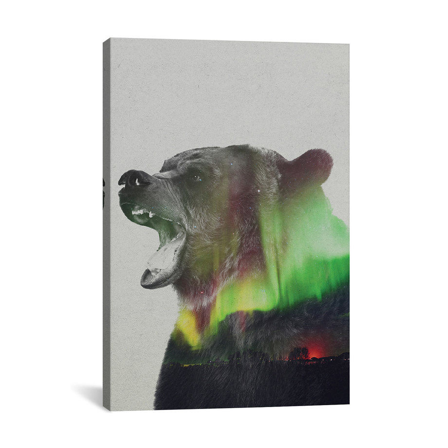 Andreas Lie - Wild Art on Canvas - Touch of Modern