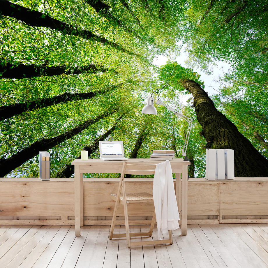 YOUR DECO SHOP - Awe-Inspiring Wallpaper - Touch of Modern