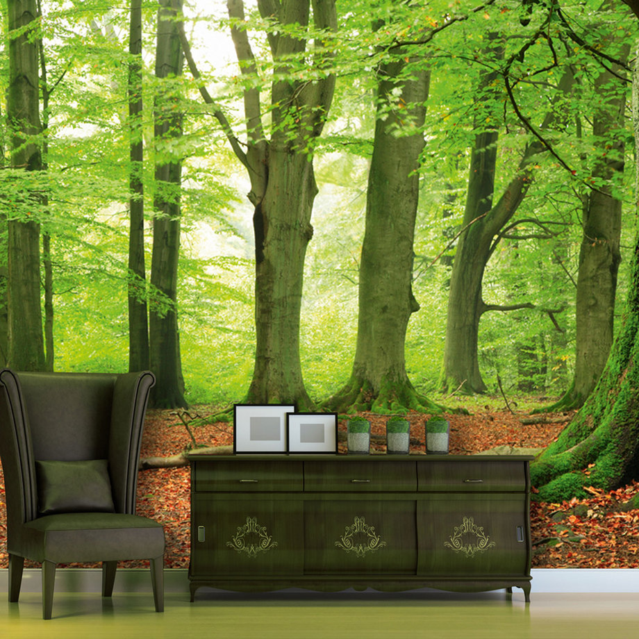 Walplus - Impactful Wall Murals - Touch of Modern