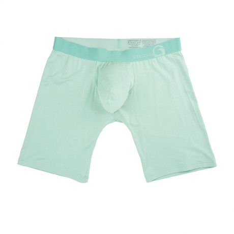 AnatoMAX Downtown Boxer Brief 9 Inch Leg // Mint (Small) - Obviously ...