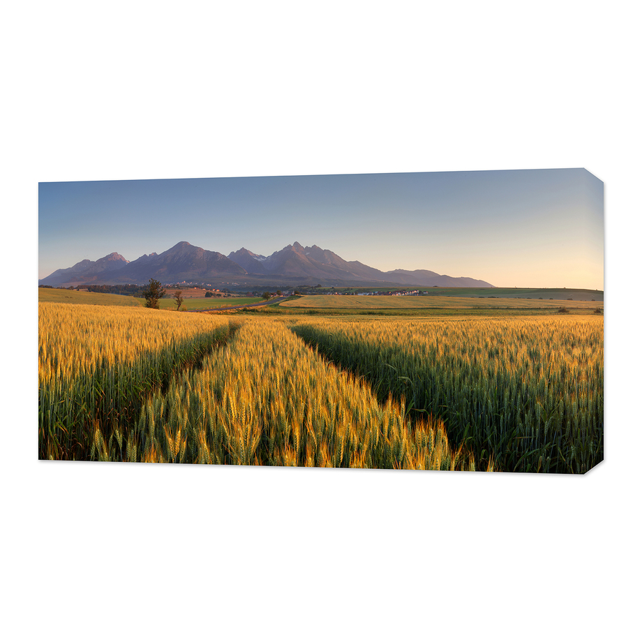 Panoramic Photography - Nature Landscapes - Touch of Modern