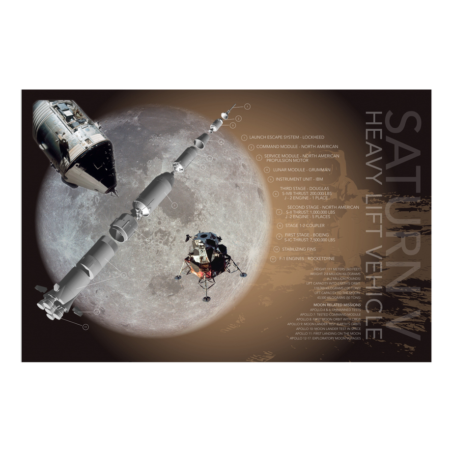 Lynx Art Collection - Space-Inspired Art - Touch of Modern