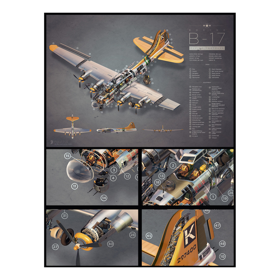 Lynx Art Collection - Space-Inspired Art - Touch of Modern