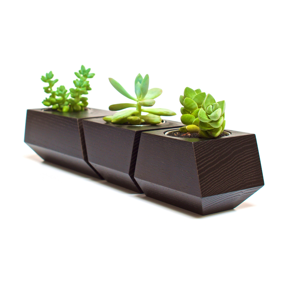 Revolution Design House - Contemporary Housewares - Touch of Modern