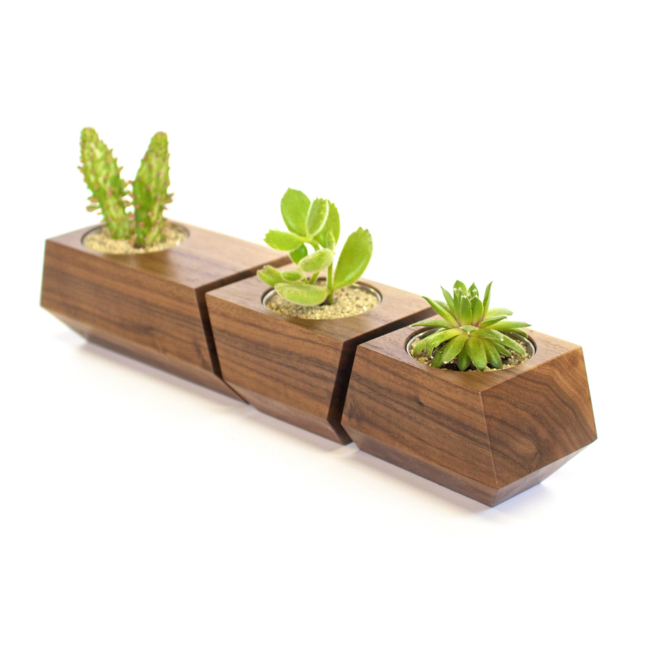 Revolution Design House - Contemporary Housewares - Touch of Modern