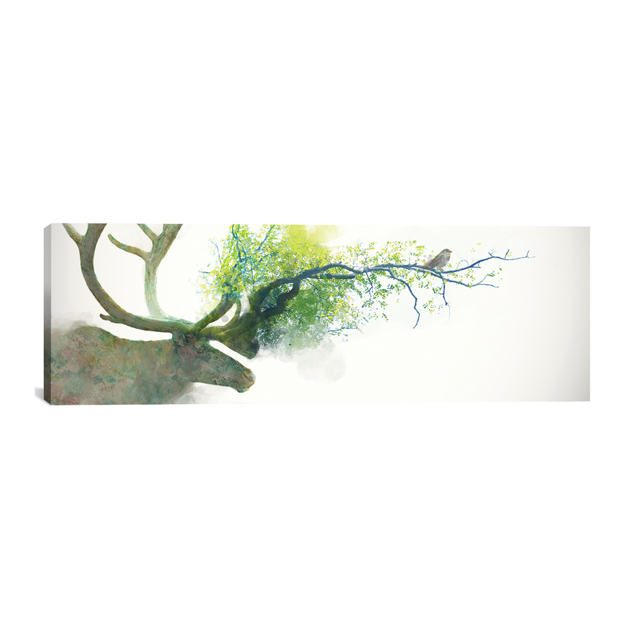 Daniel Taylor - Ethereal Nature Prints - Touch of Modern