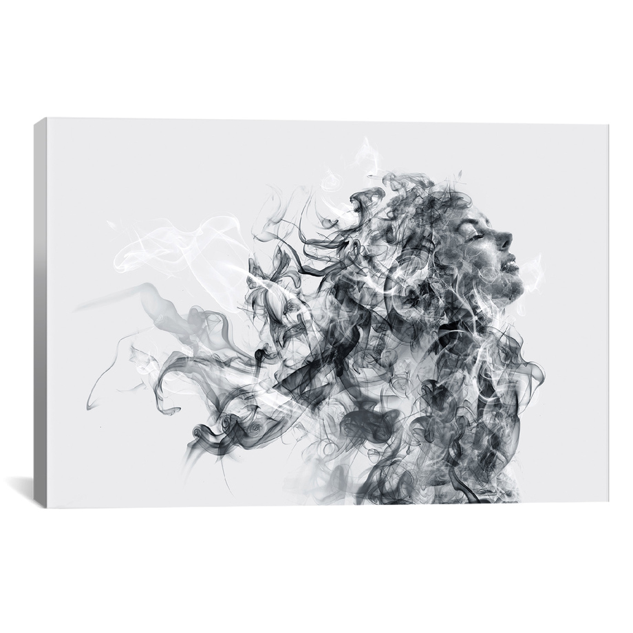 Daniel Taylor - Dark Beautiful Canvas - Touch of Modern