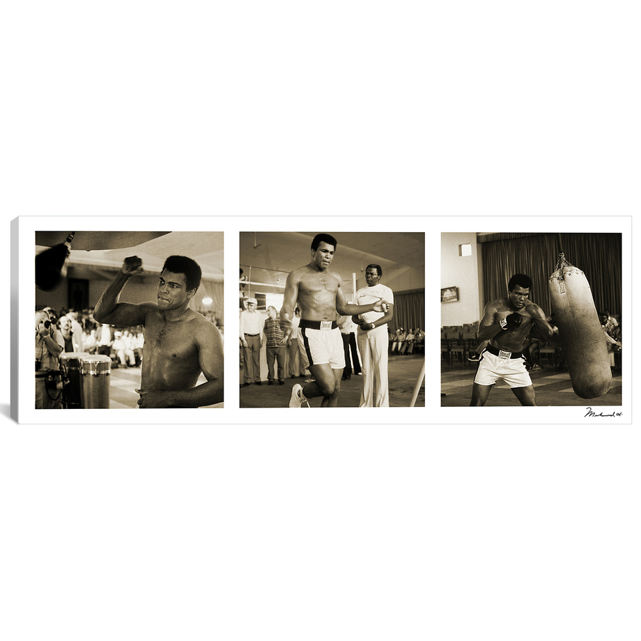 Muhammad Ali - Honoring the Great - Touch of Modern