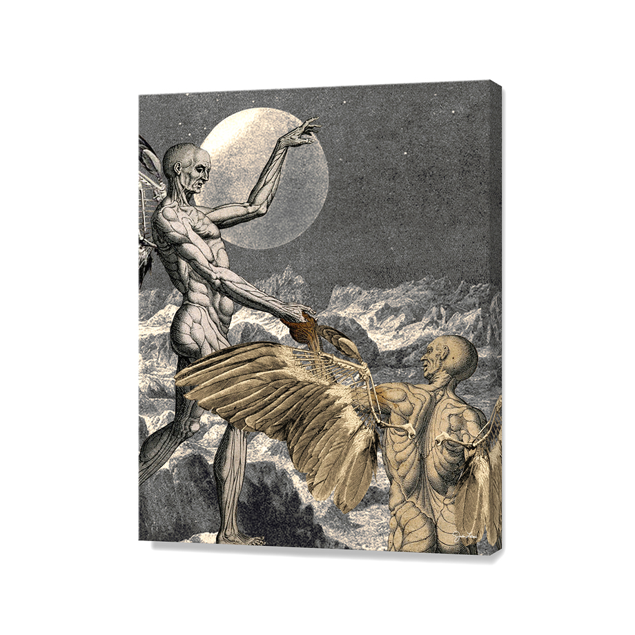 Julia Lillard - Art With Purpose - Touch of Modern