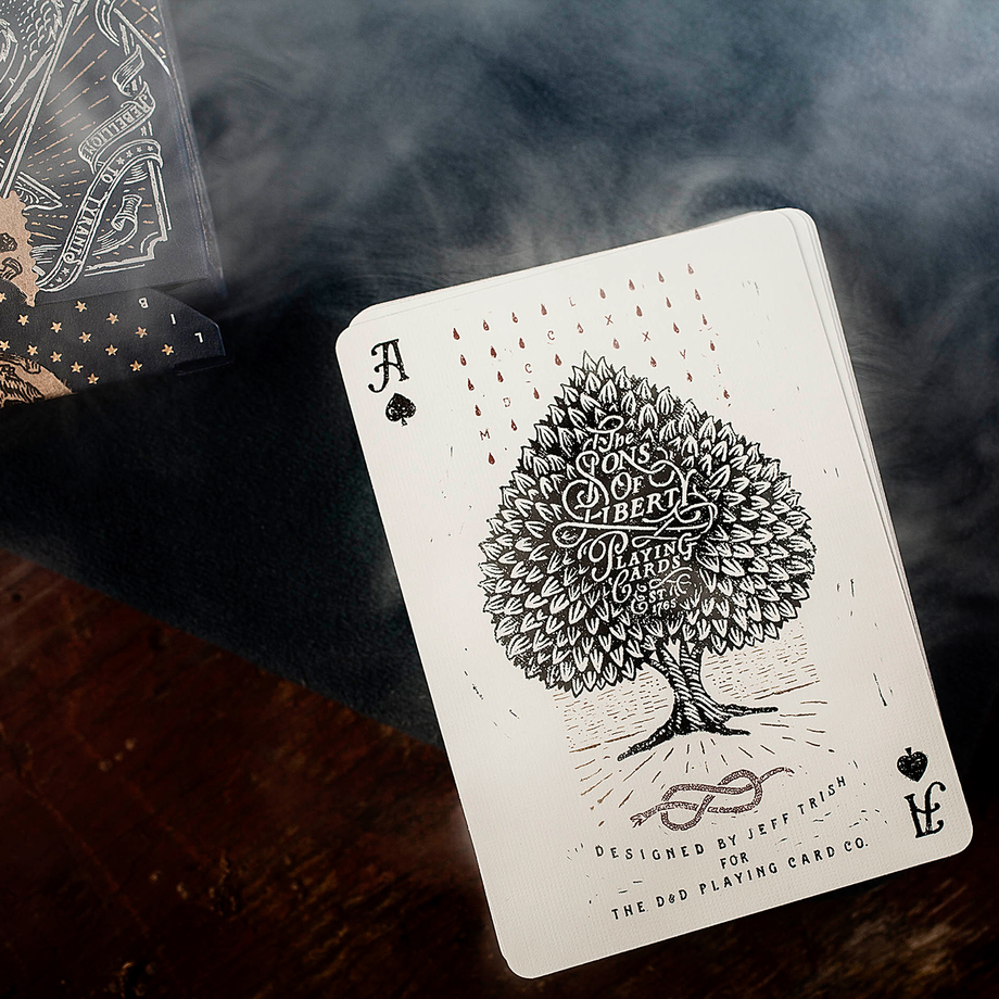 Dan and Dave - Magic + Cardistry - Touch of Modern