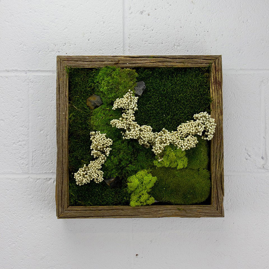 FlowerBox - Long-Lasting Natural Art - Touch of Modern