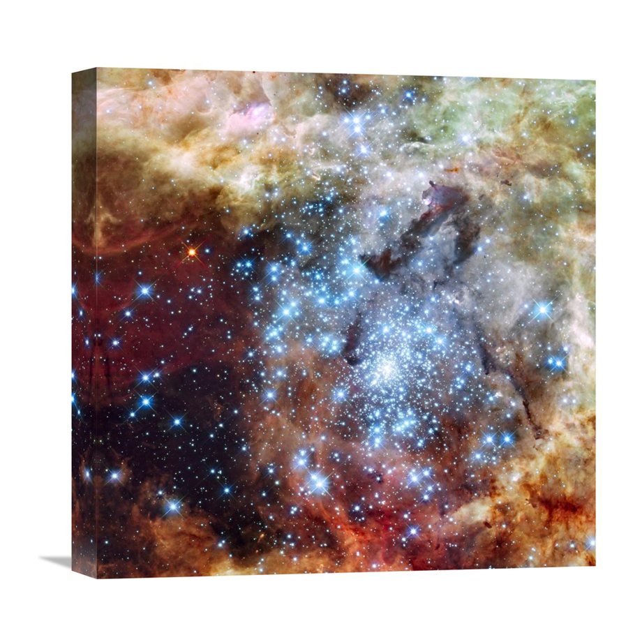 Celestial Images - Space Prints - Touch of Modern