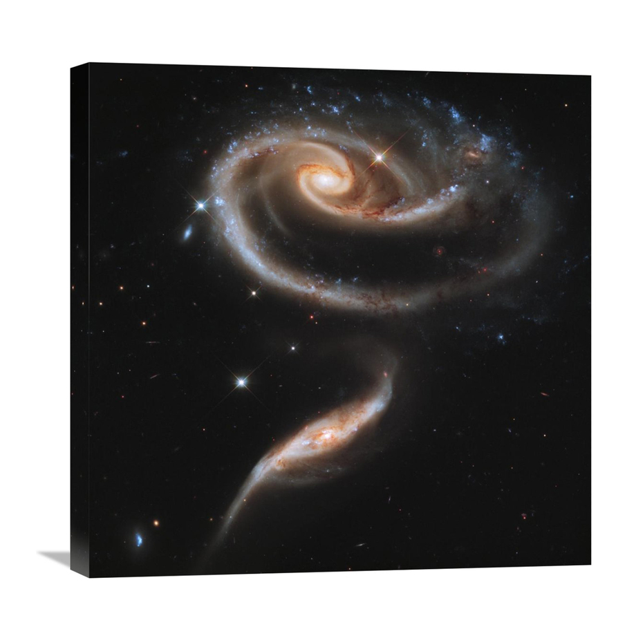 Celestial Images - Space Prints - Touch of Modern