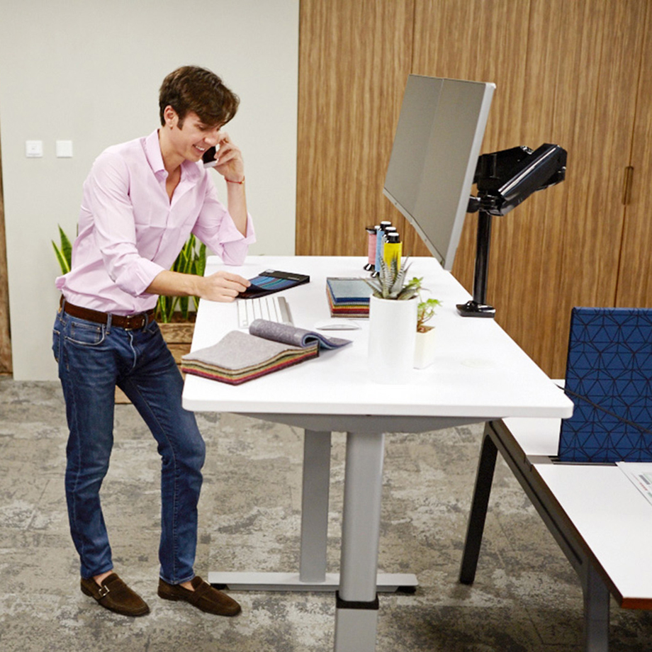 STAND DESK - Deluxe Standing Desks - Touch of Modern