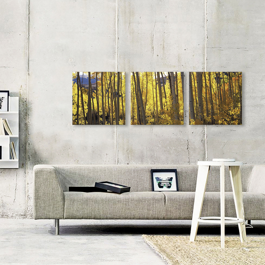 Panoramic Triptychs - Nature In Threes - Touch of Modern