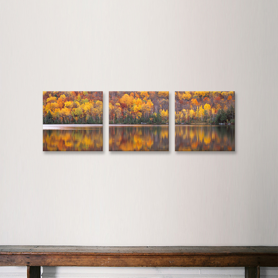 Panoramic Triptychs - Nature In Threes - Touch of Modern