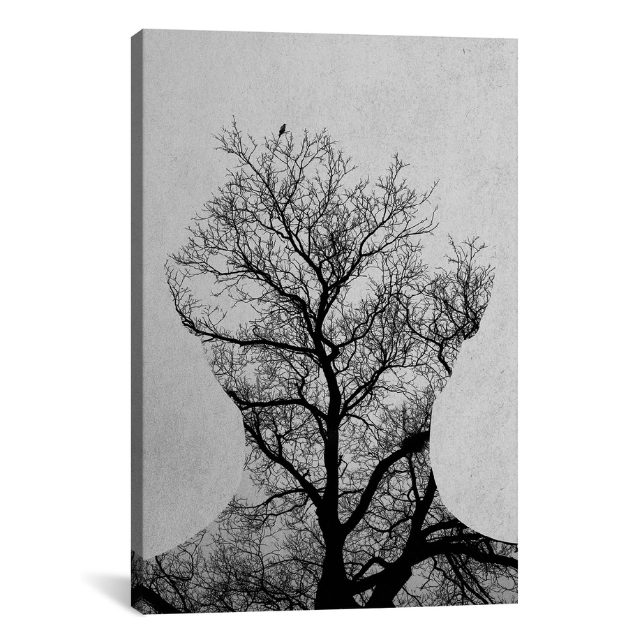 Andreas Lie - Wild Art on Canvas - Touch of Modern