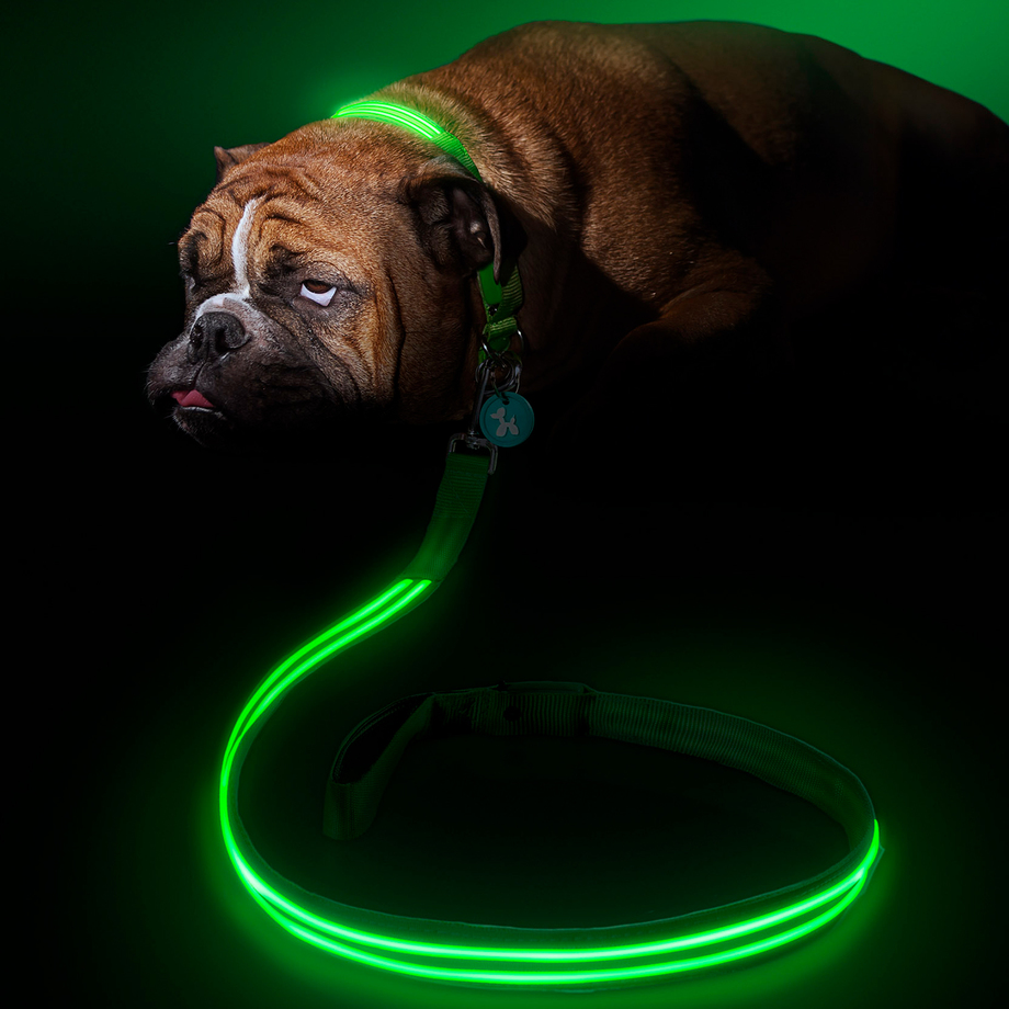 Squeaker - Rechargeable LED Pet Collars - Touch of Modern
