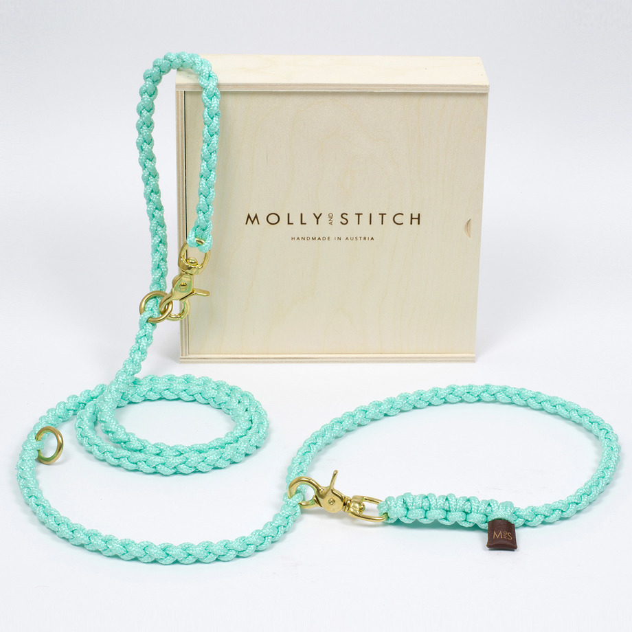 Molly & Stitch - Dog Leashes - Touch of Modern