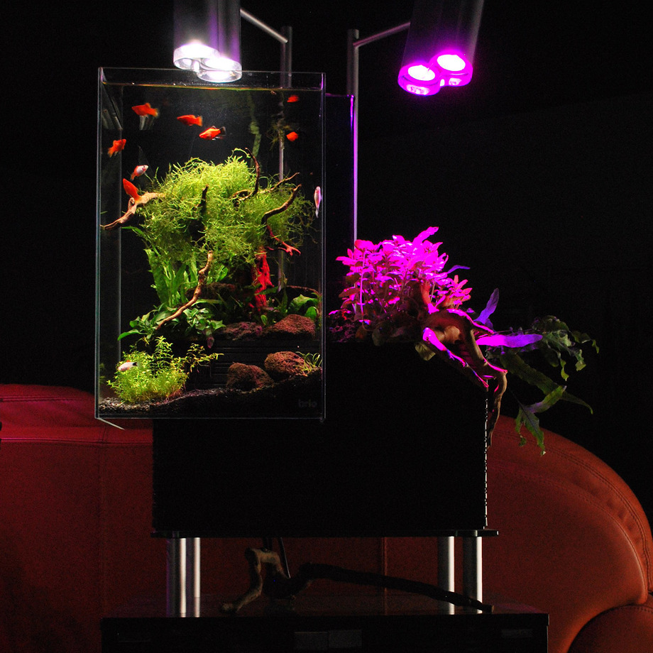 Brio™ Aquaponics - Urban Aquariums + Eco Gardens - Touch of Modern