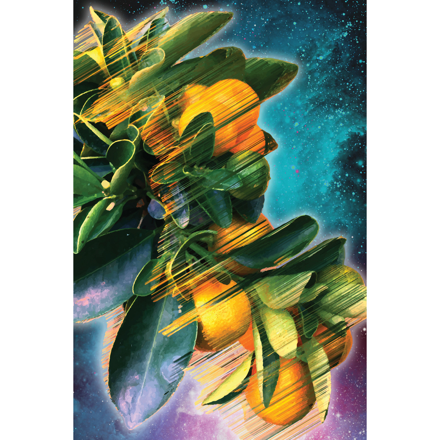 Space Fruit (26"W x 18"H x 0.75"D) - Adam Priester - Touch of Modern