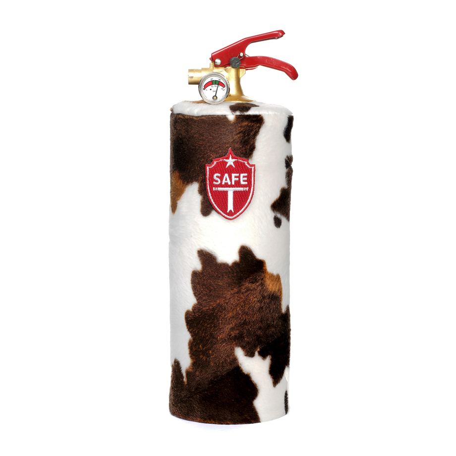 Safe-T - Fire Extinguishers - Touch of Modern