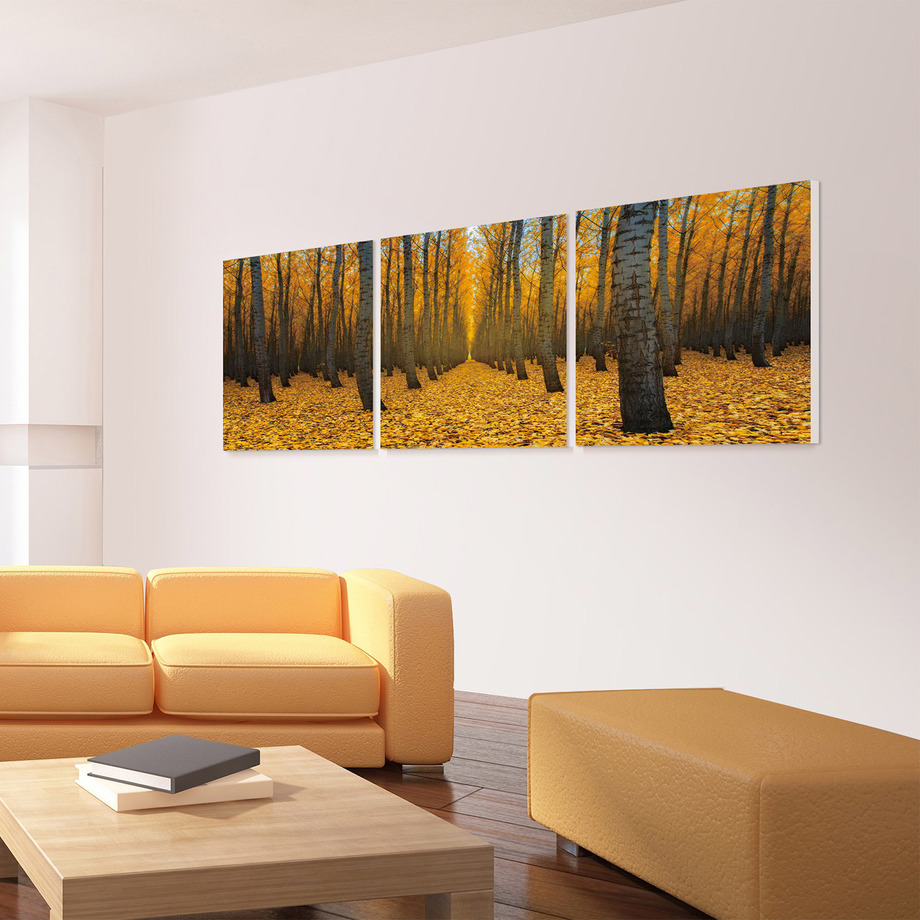 Scenic Photography - Multi-Panel City And Nature Prints - Touch of Modern