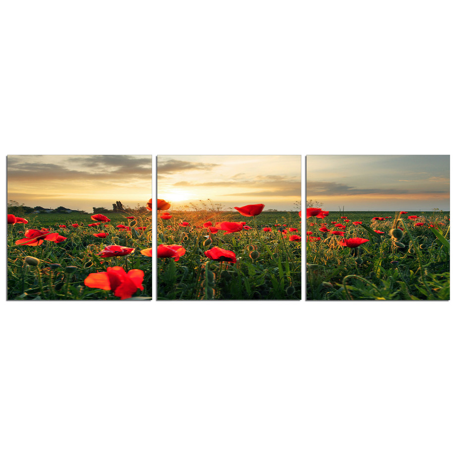Scenic Photography - Multi-Panel City And Nature Prints - Touch of Modern