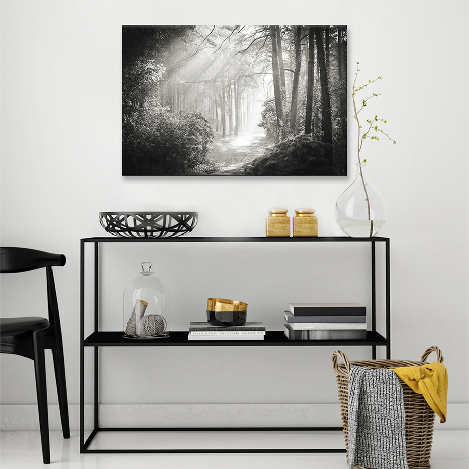 Dorit Fuhg - Greyscale Nature Photography - Touch of Modern