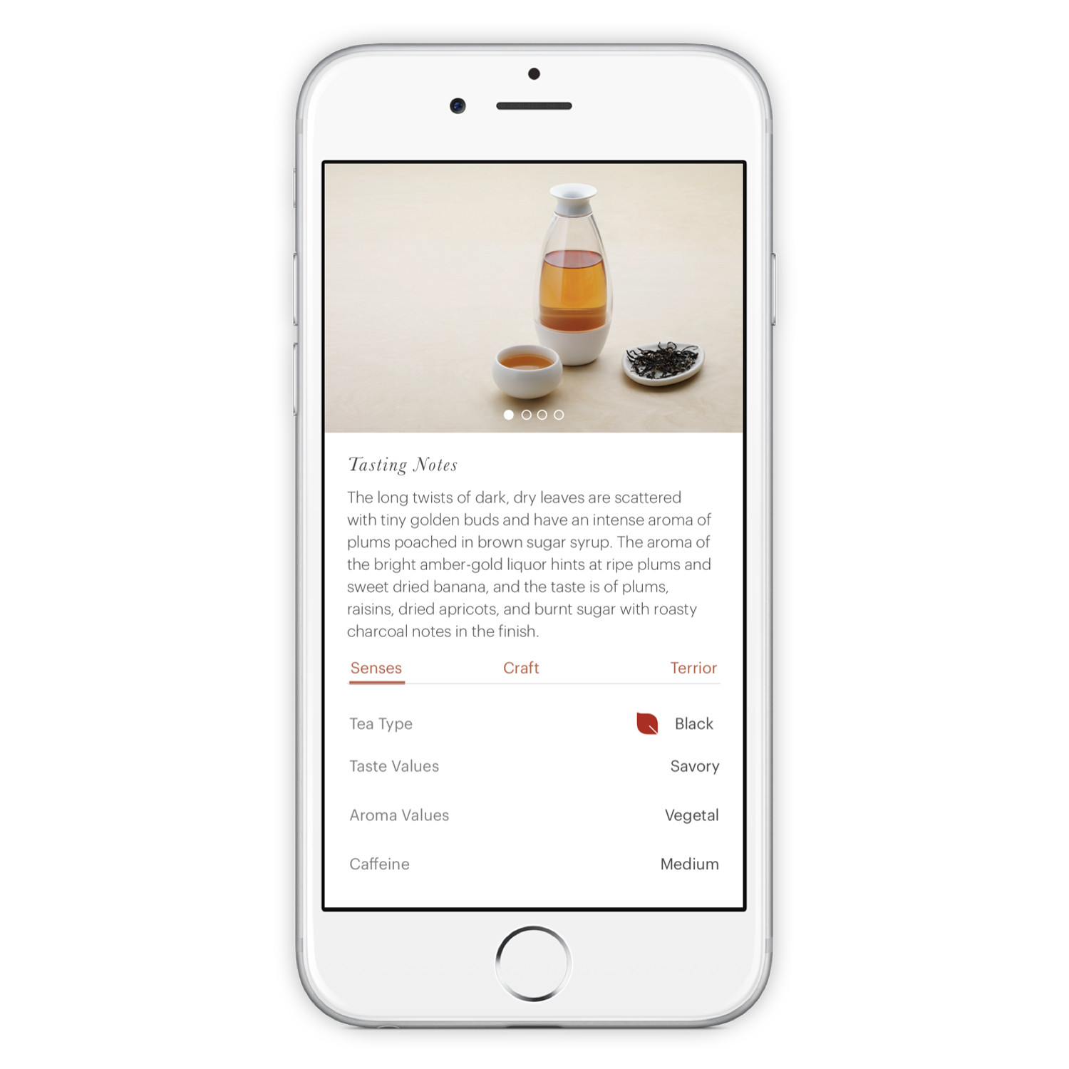 Teforia Infuser - Teforia - Touch of Modern