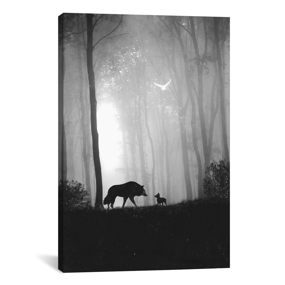 Daniel Taylor - Ethereal Nature Prints - Touch of Modern