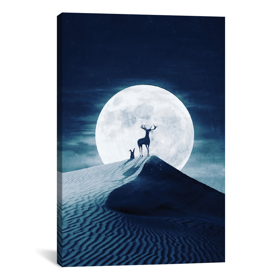 Daniel Taylor - Ethereal Nature Prints - Touch of Modern