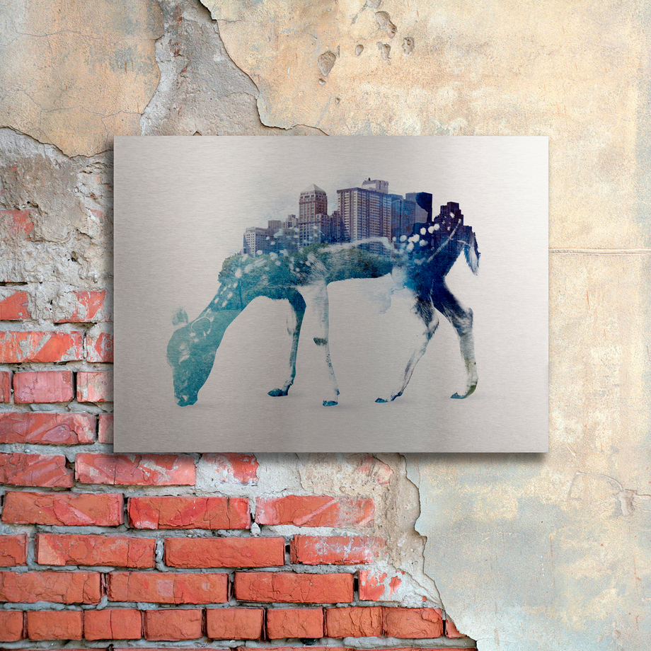 Robert Farkas - Wild Art Prints - Touch of Modern