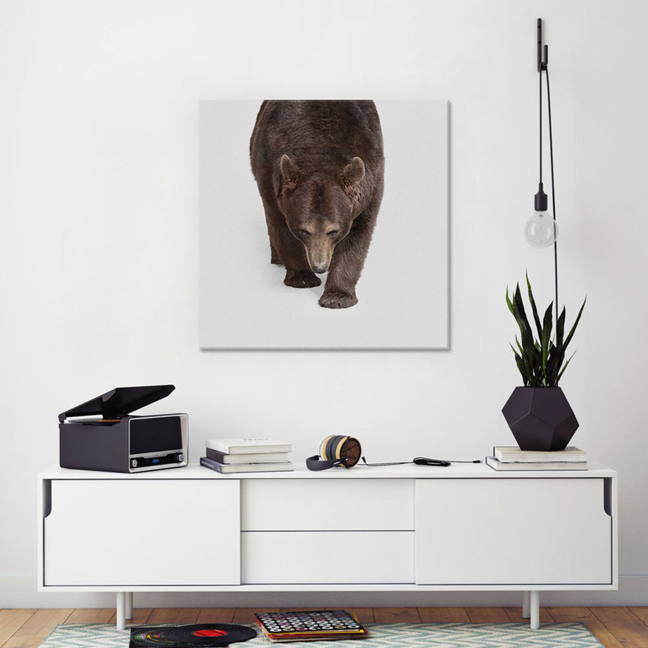 Randal Ford - Nature On Canvas - Touch of Modern