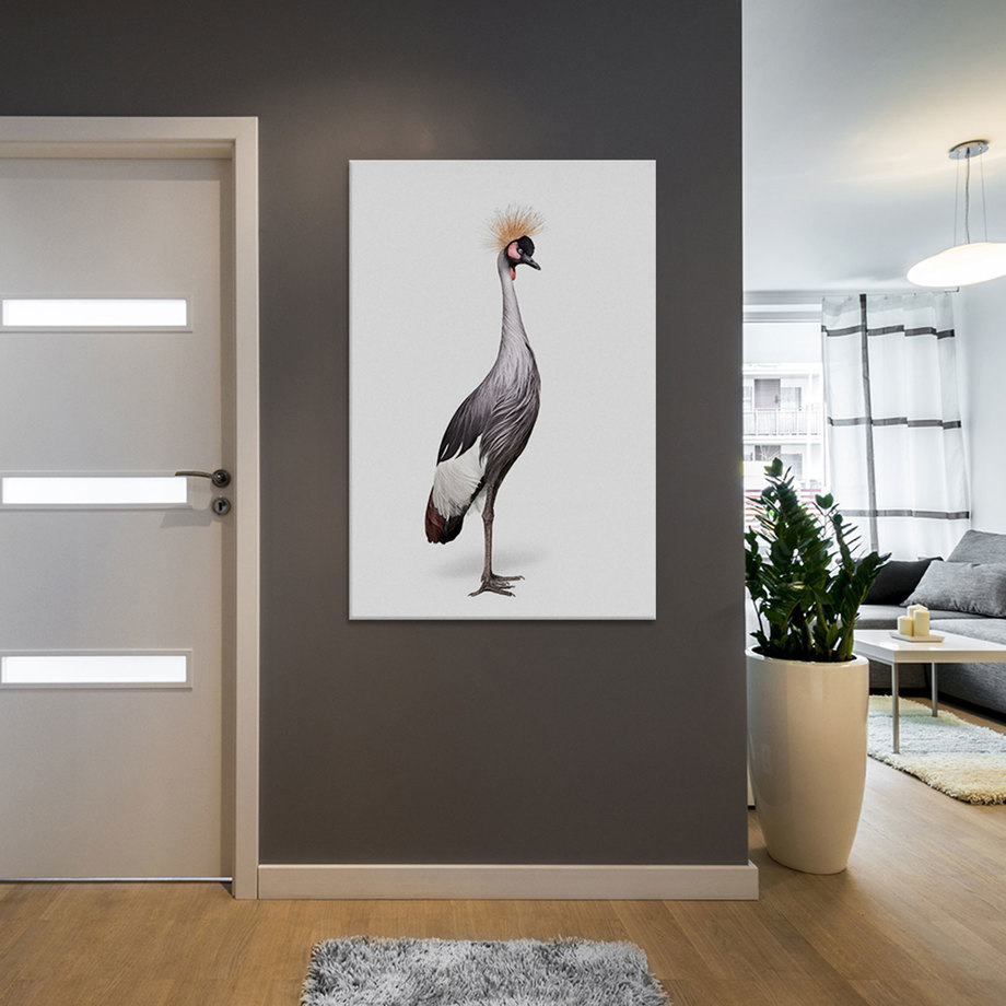 Randal Ford - Nature On Canvas - Touch of Modern