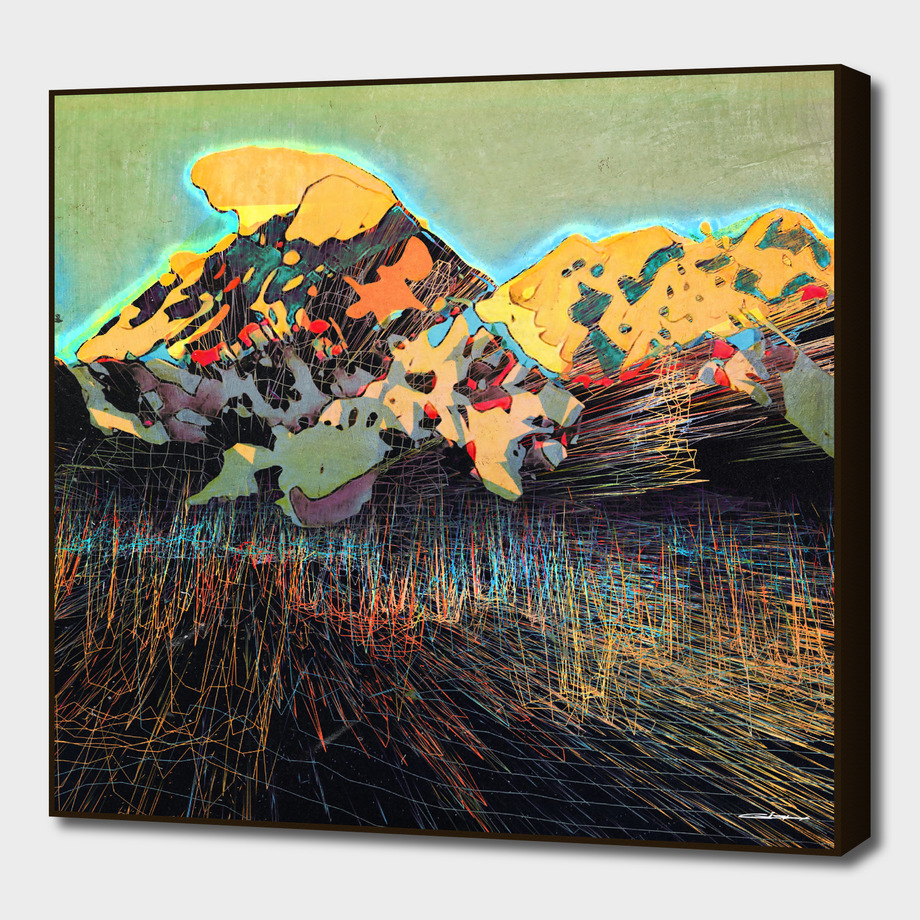 Alexander Gish - Phenomenal Nature Art Blocks - Touch of Modern