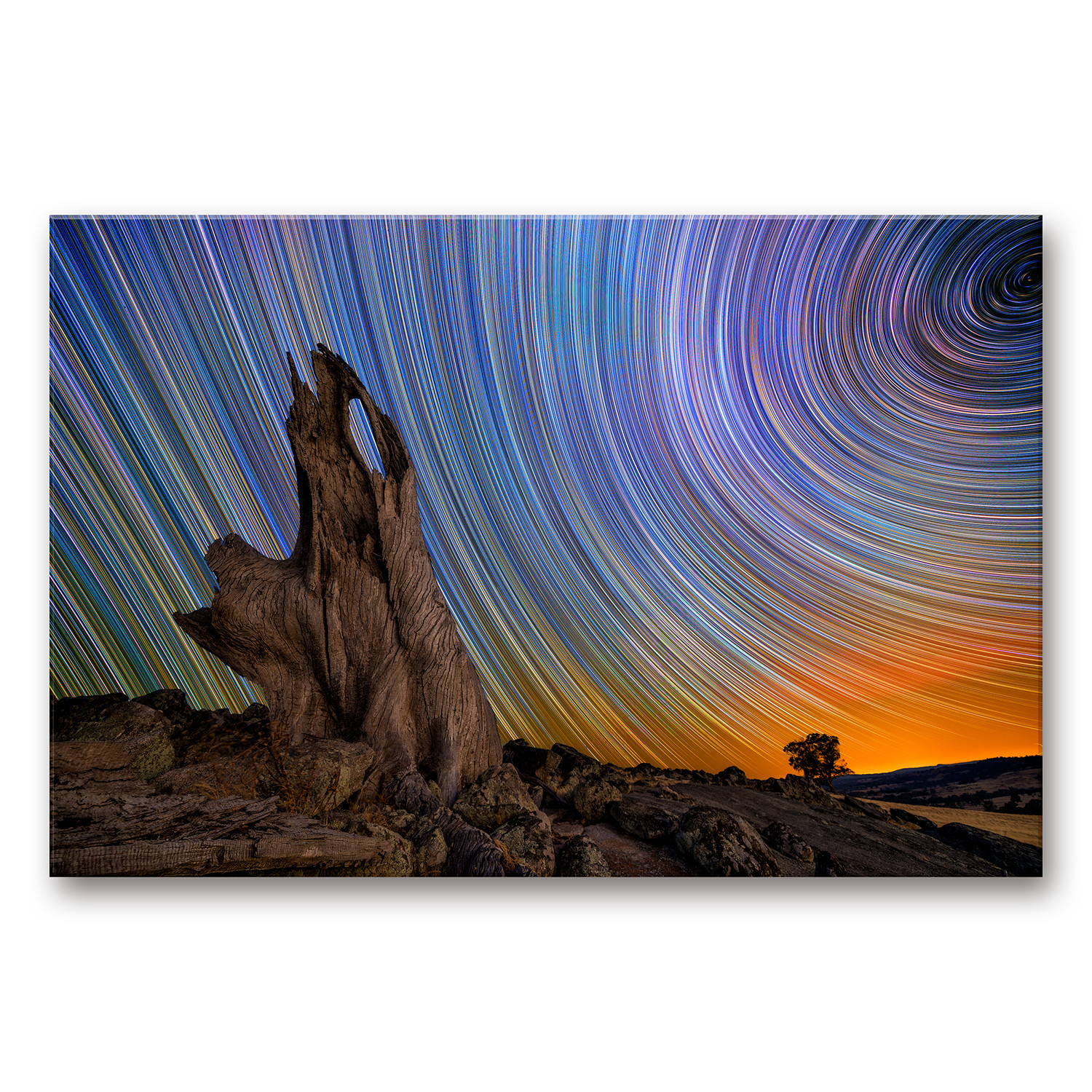 Metcalf Stump - Lincoln Harrison - Touch of Modern