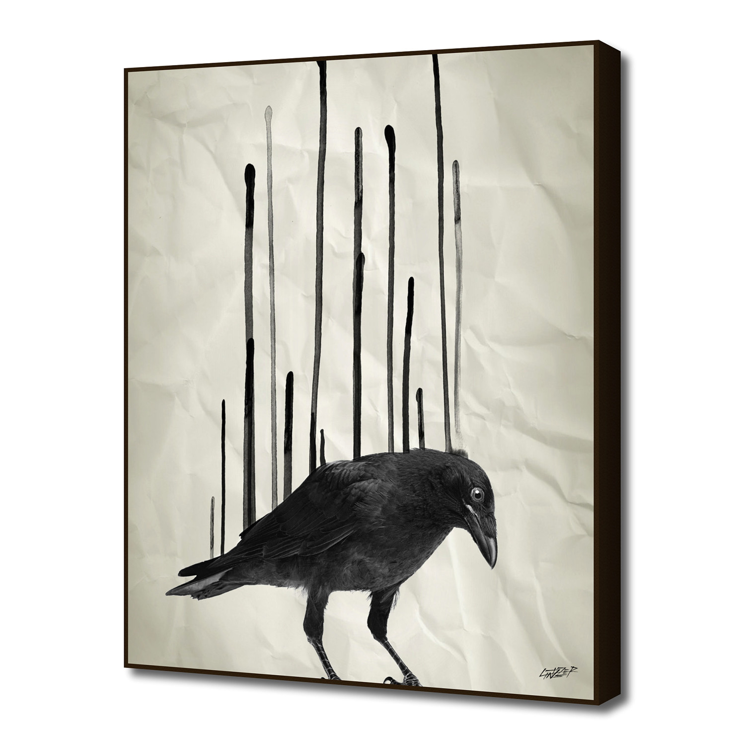 Raven Drip I - Vin Zzep - Touch of Modern