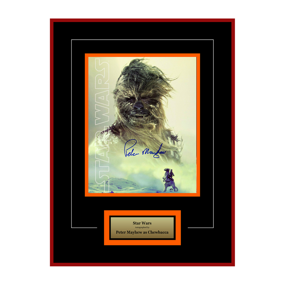 Star Wars Memorabilia - Signed Movie Posters - Touch of Modern