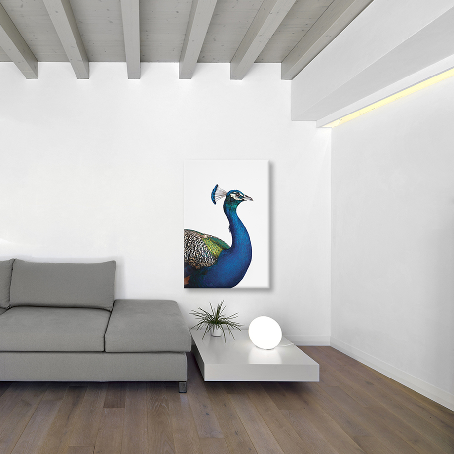 Randal Ford - Nature On Canvas - Touch of Modern